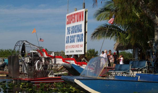 Floryda, Bagna Everglades - Warto zobaczyć będąc na Florydzie.